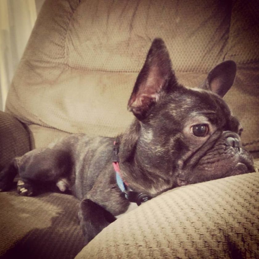 I Like ‘Eich’ | News, Sports, Jobs - Post Journal